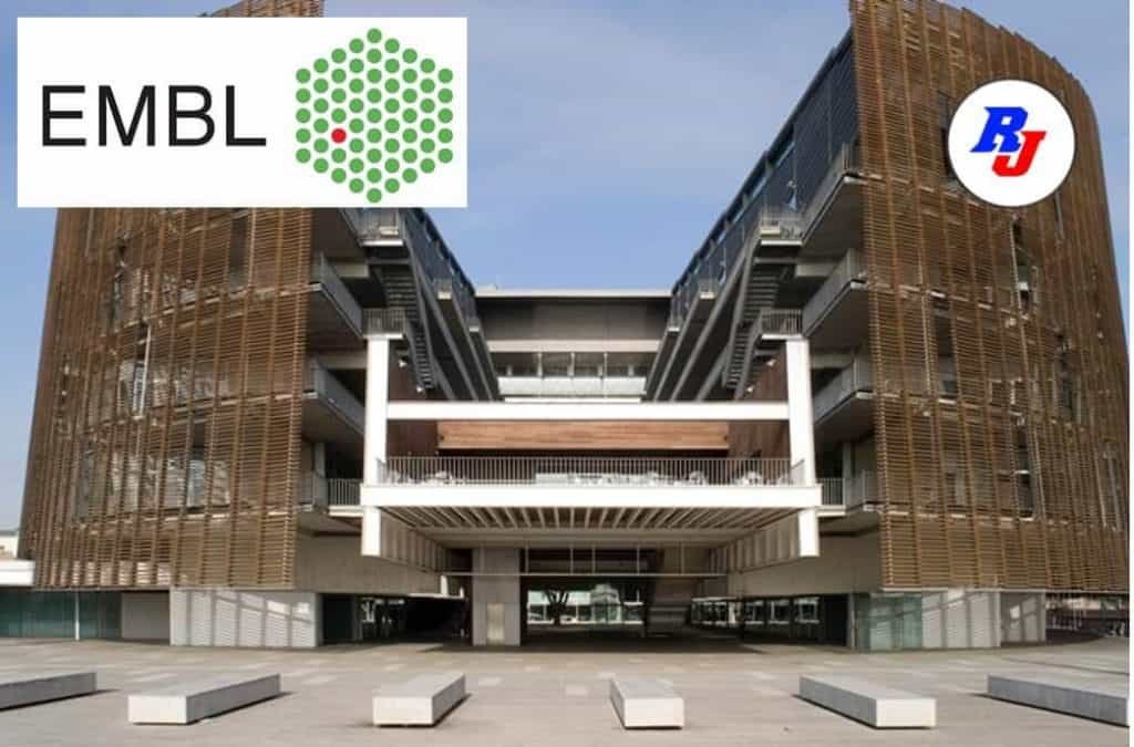 EMBL International PhD Programme Scholarship, EMBL Heidelberg, Germany ...